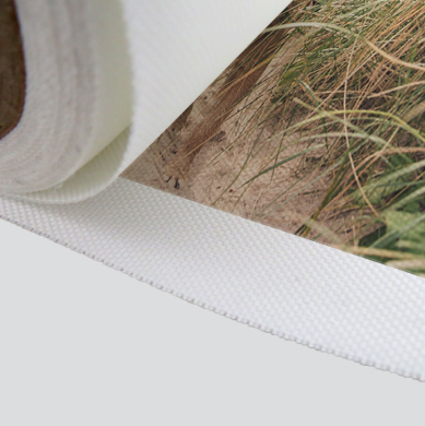 Custom Canvas Prints | Photo2Print